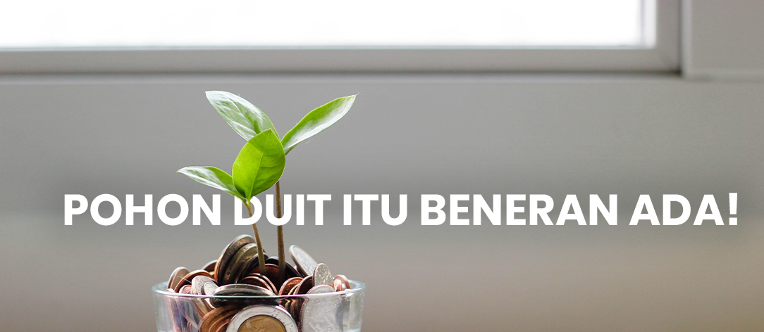 Pohon Duit Itu Beneran Ada! - Wakaf Salman